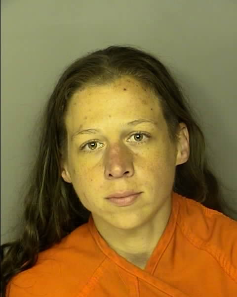 HAYES, APRIL LEANN - IDENTITY FRAUD TO OBTAIN EMPLOYMENT OR AVOID ...