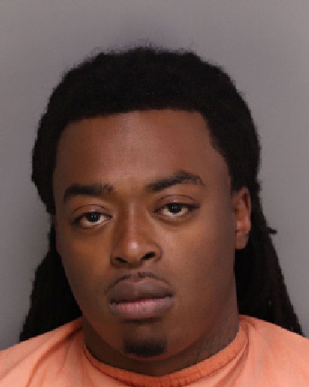 TYQUAN LAMONT REED - ASSAULT AND BATTERY 1ST DEGREE - DOMESTIC ASSUALT ...