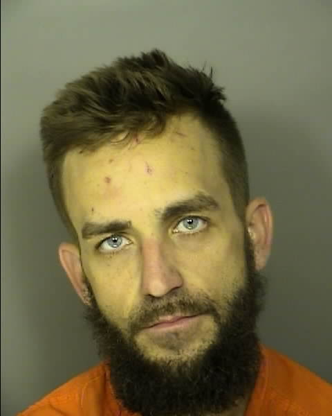 BORRELLI, TYLER RICHARD - PUBLIC DISORDERLY - WFXB