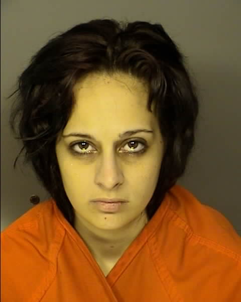 LINTON, EMELIA ELIZABETH - GIVING FALSE INFORMATION TO LAW ENFORCEMENT ...