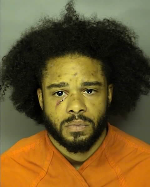 DAVIS, WAYNE ALLEN - DOMESTIC VIOLENCE HIGH & AGGRAVATED NATURE ...