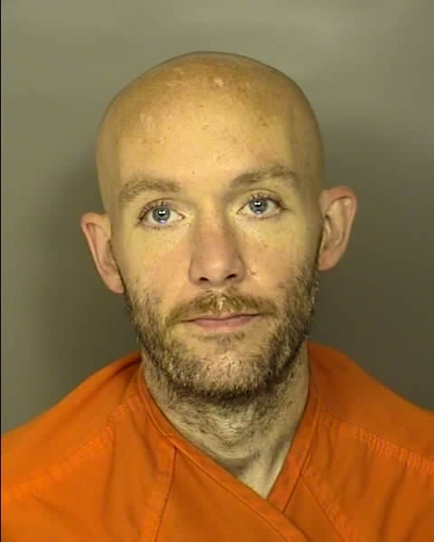 ALLEY, ERIC HAYDEN - POSSESTION OF NAROTICS 1ST OFFENSE - WFXB