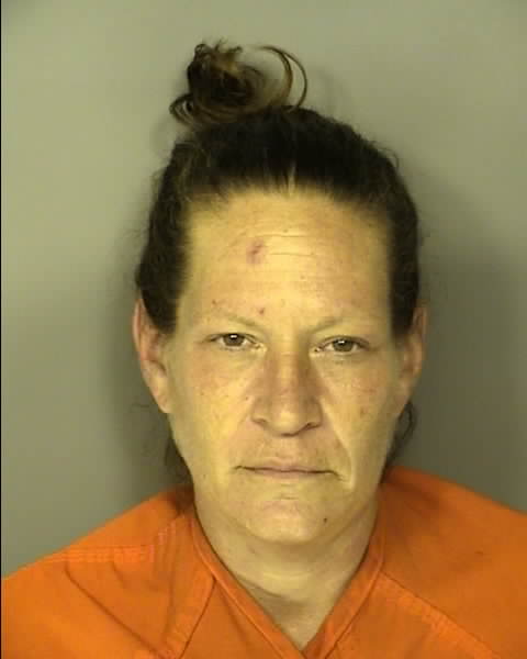 STRICKLAND, HEATHER RENEE- FINAN TRANS CARD FRAUD VALUE $500 OR LESS IN ...