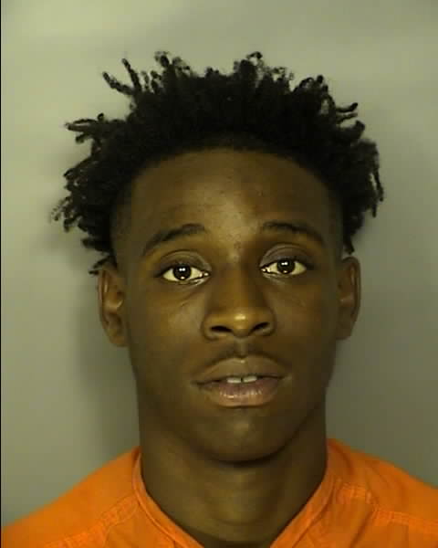 PAGE, SEAN LOUIS - GIVING FALSE INFORMATION TO LAW ENFORCEMENT, FIRE ...