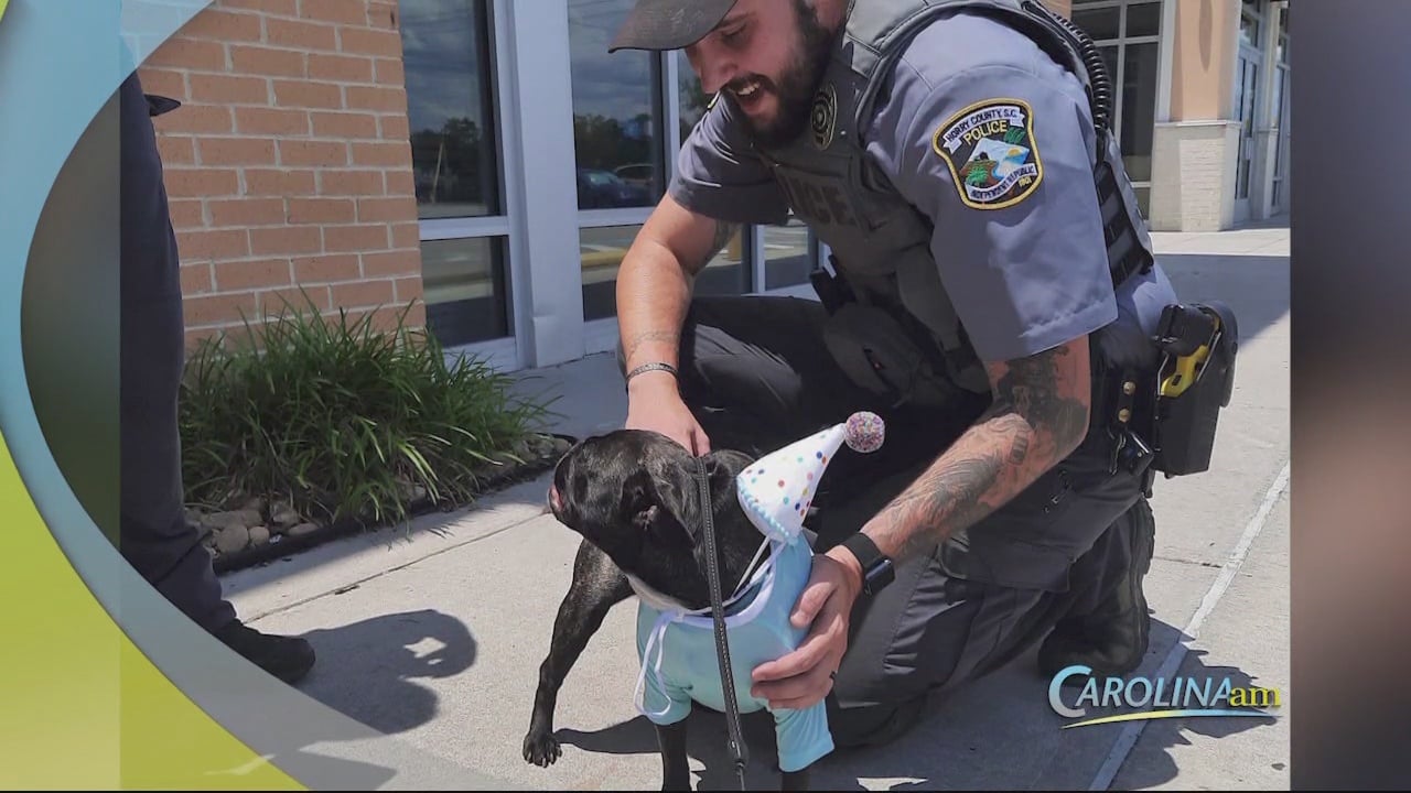 Horry County Officers Help Make This Pup's First Birthday One to ...