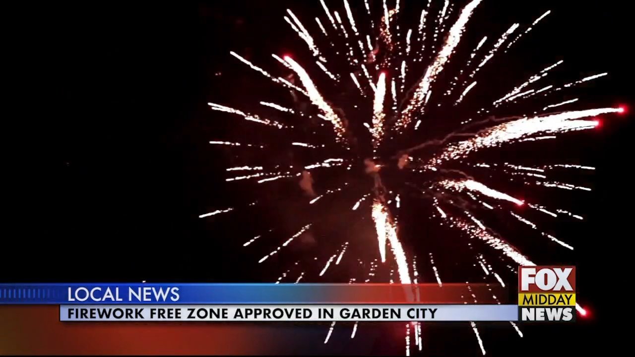 Horry County Public Safety Committee Approves Firework Free Zone in ...