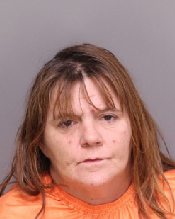 DAWN MICHELLE YOUNG - DUI 2ND OFFENSE - TRANSPORT A IN MOTOR VEHICLE ...