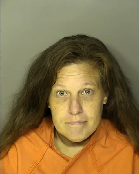 HOBBY, SHANNON RENEE - UNLAWFUL DUMPING - ENTERING PREMISES AFTER ...