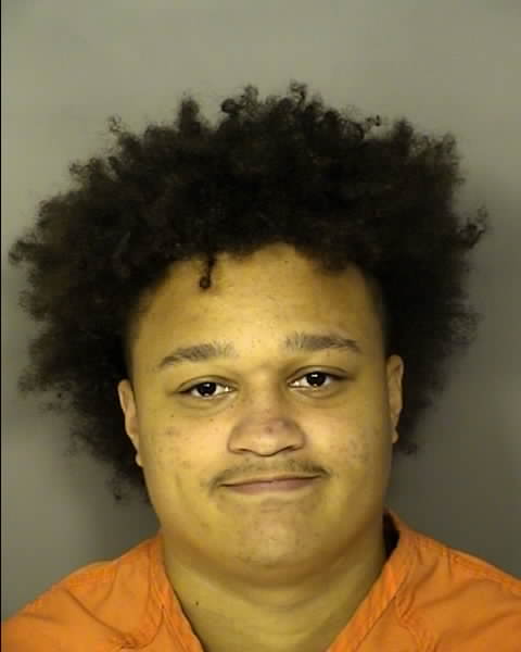 JOHNSON, DEON MARKELL - ASSAULT AND BATTERY BY A MOB 2ND DEGREE - WFXB