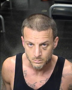 LESKOVICH, SHAWN RICHARD - PUBLIC DISORDERLY:PUBLIC INTOXICATION ...