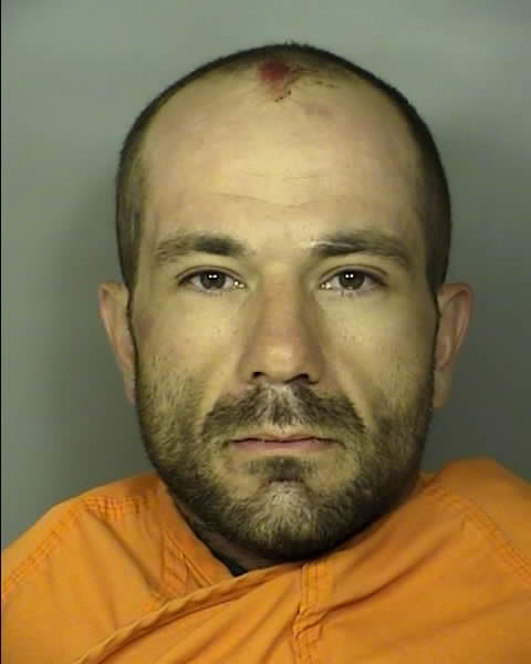 LESTER, ZEBULON LUCAS - DOMESTIC VIOLENCE 2ND DEGREE - PUBLIC ...