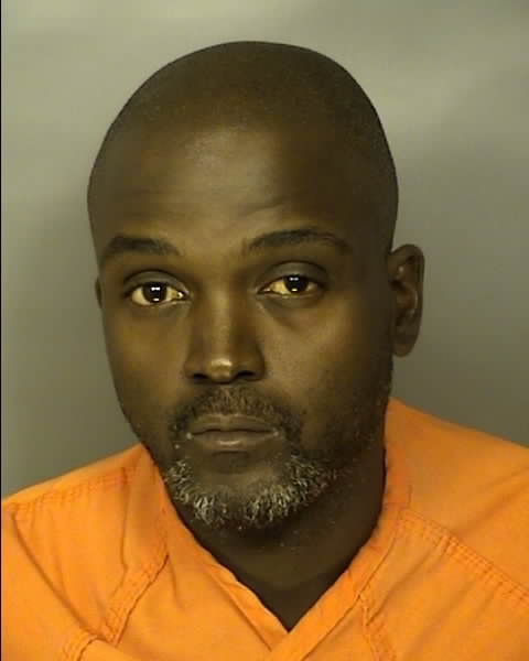 CHESTNUT, JASON N. - DOMESTIC VIOLENCE 2ND DEGREE - PUBLIC DISORDERLY ...