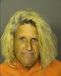 COOK, STACIE RENE - SHOPLIFTING UNDER $2,000 - WFXB