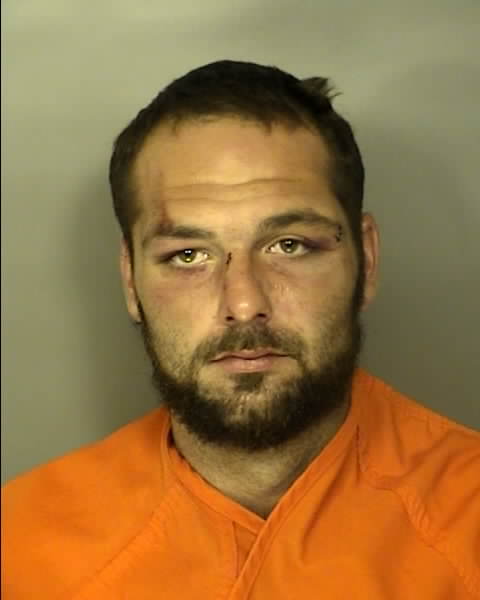 TODD, NICHOLAS WAYNE - MALICIOUS INJURY (DAMAGE) TO PERSONAL ...