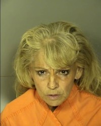 CALLAN, CYNTHIA DARLENE - No Charges Listed - WFXB