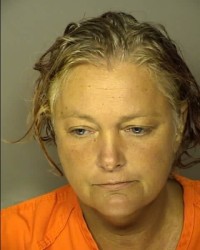 ELLIOTT, LISA MARIE - INDECENT EXPOSURE - WFXB