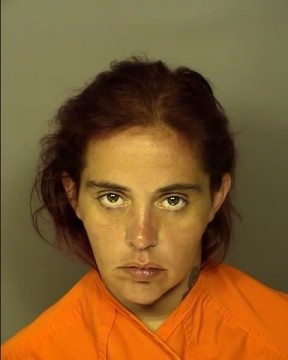 HARTLEY, STEPHANIE MICHELLE- DISORDERLY CONDUCT - WFXB