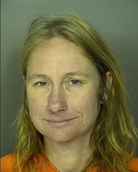 PALMER, ALICE EMILY - PUBLIC DISORDERLY:PUBLIC INTOXICATION - WFXB