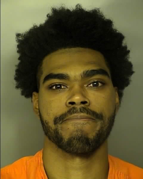 WEBB, KARON LAMONT- DRIVING UNDER THE INFLUENCE - WFXB