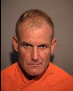 FEES, BRUCE LAMAR - TRAFFICKING IN ICE, CRANK, OR CRACK, 10G OR MORE ...