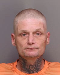 FLOYD, JASON BRYCE-PETIT LARCENY-ATTEMPTED MURDER-POSSESSION OF A ...