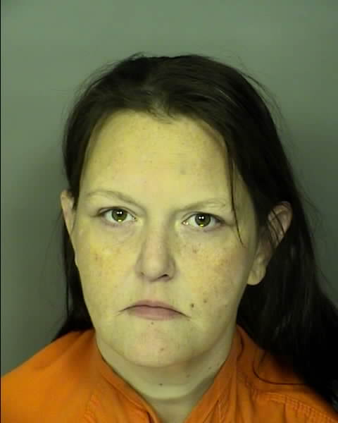 ROSS, KELLY MICHELLE - DOMESTIC VIOLENCE 2ND DEGREE - WFXB