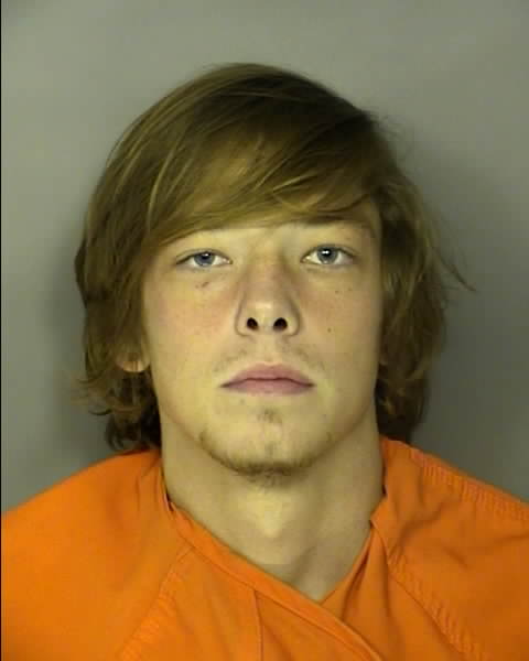 CARSON, PATRICK LOGAN - BREAKING INTO MOTOR VEHICLE OR TANKS, PUMPS ...