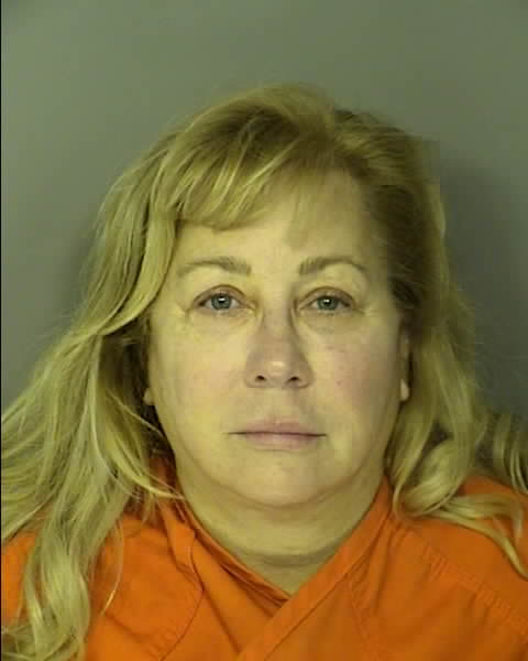 LEWIS, BRENDA LOU - ASSAULT WHILE RESISTING ARREST -PUBLIC DISORDERLY ...