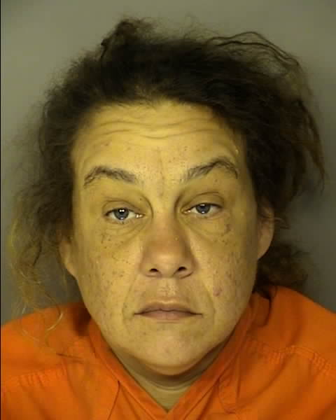 CERNEY, JESSICA ANNETTE- ASSAULT & BATTERY 2ND DEGREE - Unlawful ...