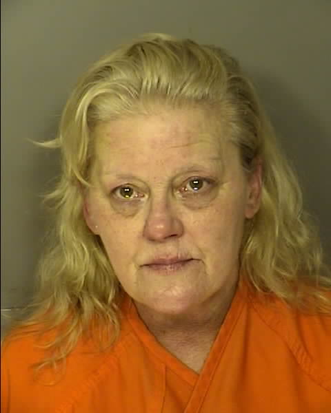 MARTIN, MELISSA CHARLINE - FUGITIVE - GIVING FALSE INFORMATION TO LAW ...