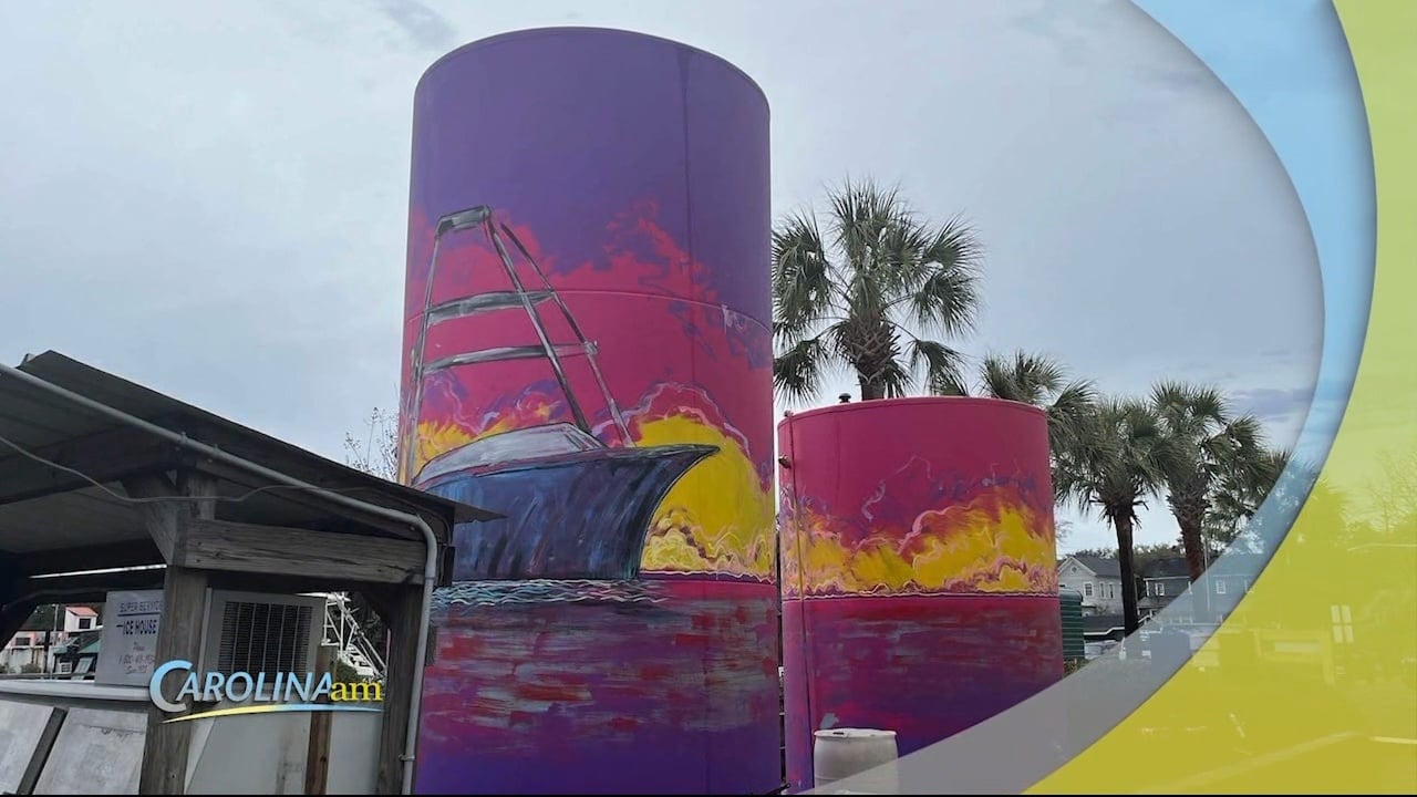 Local Artist, Asher Robinson, Shares Progress on New Georgetown Murals - WFXB