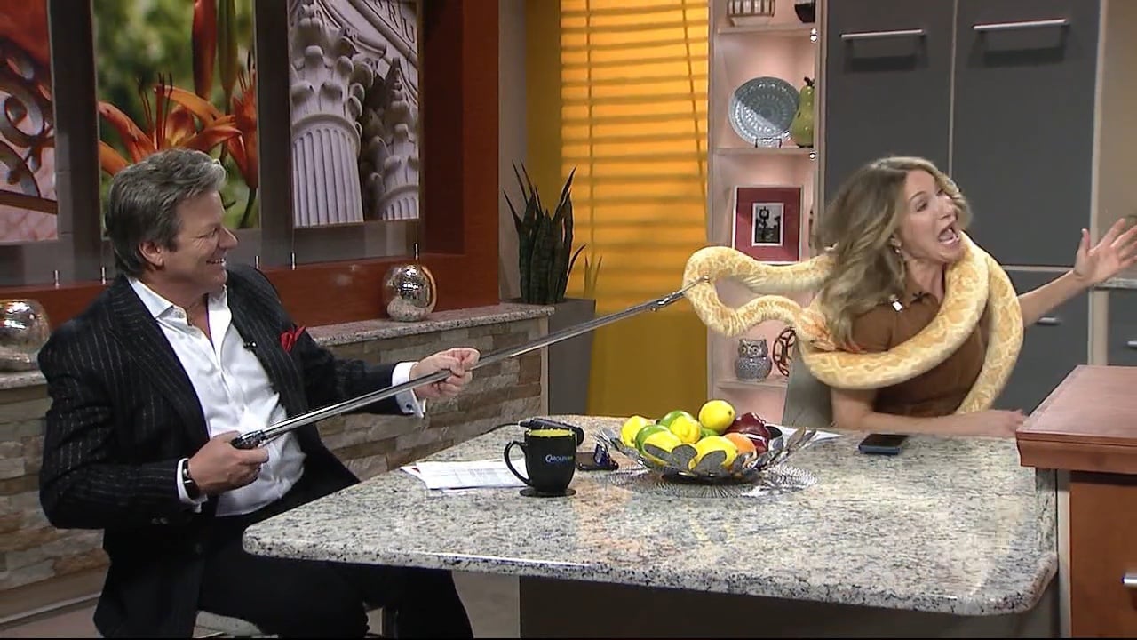 FOX's New Show 'Animal Control' Looks Hiss-terical - WFXB