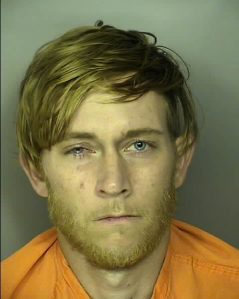 COMBS, KENNETH AARON-PETIT OR SIMPLE LARCENY UNDER $2,000-FINAN TRANS ...