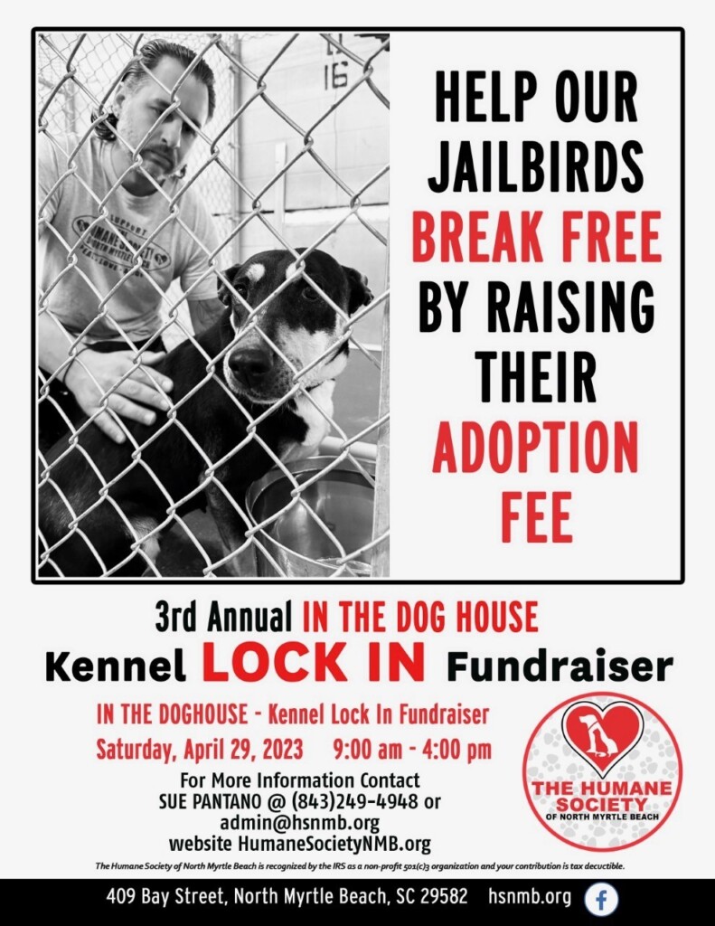 Humane Society Fundraiser Gives Experience of Living as a Shelter ...