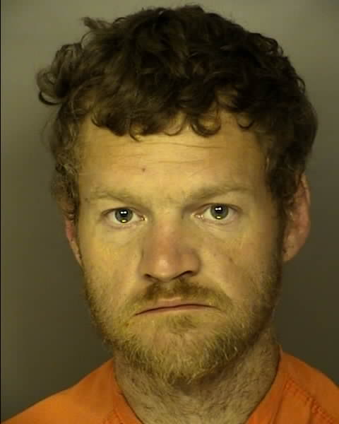 MUMFORD, DUSTIN LANE - PETIT OR SIMPLE LARCENY UNDER $2,000 - WFXB
