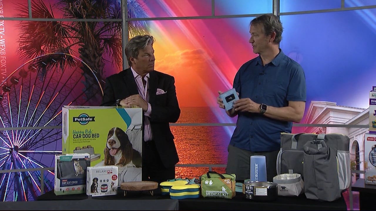 Traveling with Pets - Products to Make it Easier - WFXB