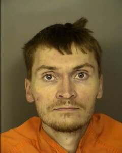 SKIBA, BRANDON MICHAEL - POSS. WEAPON DURING VIOL. CRIME - ATTEMPTED ...