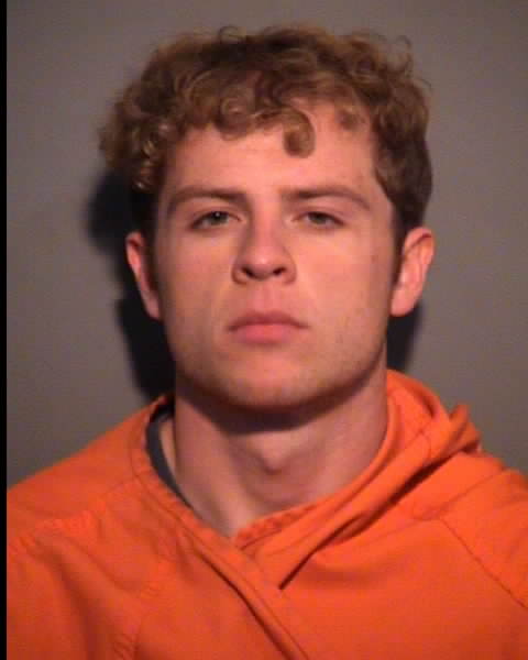 ANDERSON, MOSES DEAN - BEER AND WINE PURCHASE, CONSUMPTION, OR ...