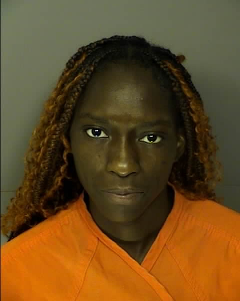 SMITH, STACI JANAY - BREACH OF TRUST WITH FRAUDULENT INTENT UNDER ...