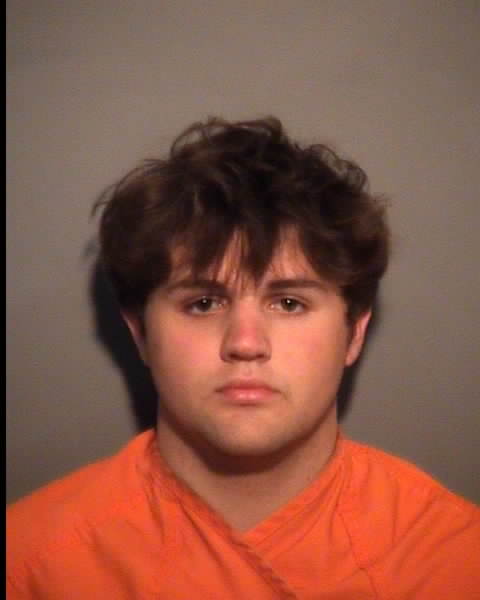 CONLEY, GAVIN DAVID- MALICIOUS INJURY TO TREE, HOUSE; TRESPASS UPON ...