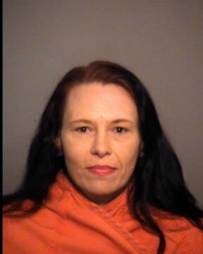 HAWK, JESSICA RENEE- DRIVING UNDER SUSPENSION - WFXB