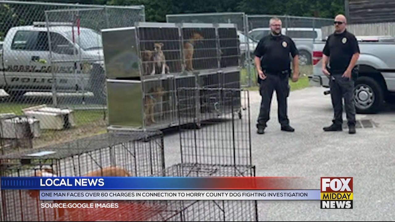 One Arrested In Connection To Animal Fighting Investigation - WFXB