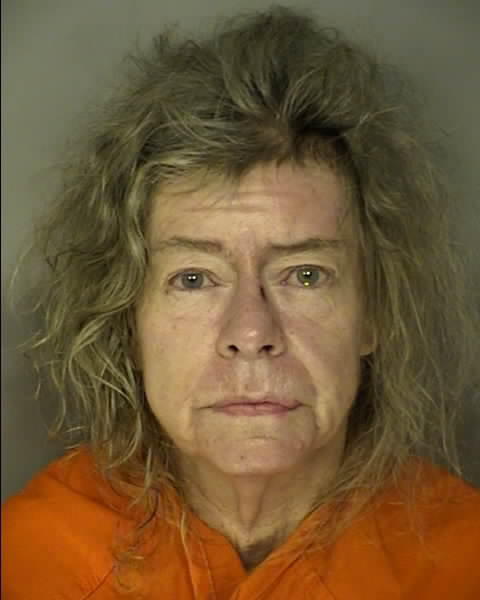 DALTON, CYNTHIA ROBYN - PUBLIC DISORDERLY:PUBLIC INTOXICATION - WFXB