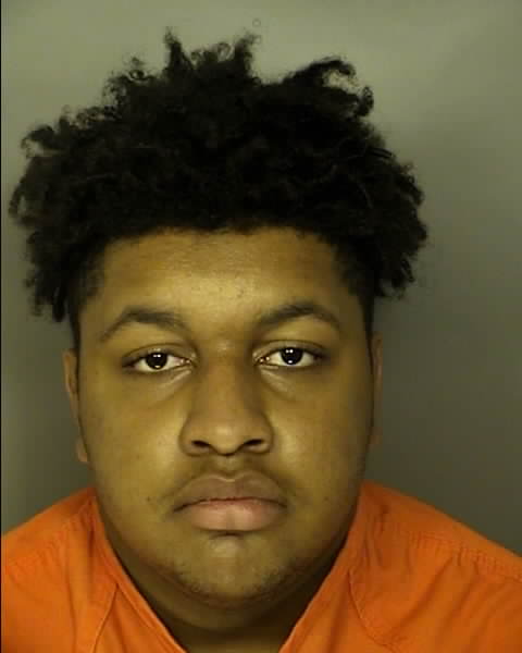 GUICE, ALEXANDER ISAAC LEE - MALICIOUS INJURY (DAMAGE) TO PERSONAL ...