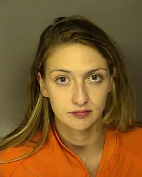 PEREZ VASQUEZ, EDGAR - THEFT OF ELECTRIC CURRENT - POSS L:T ONE GRAM ...