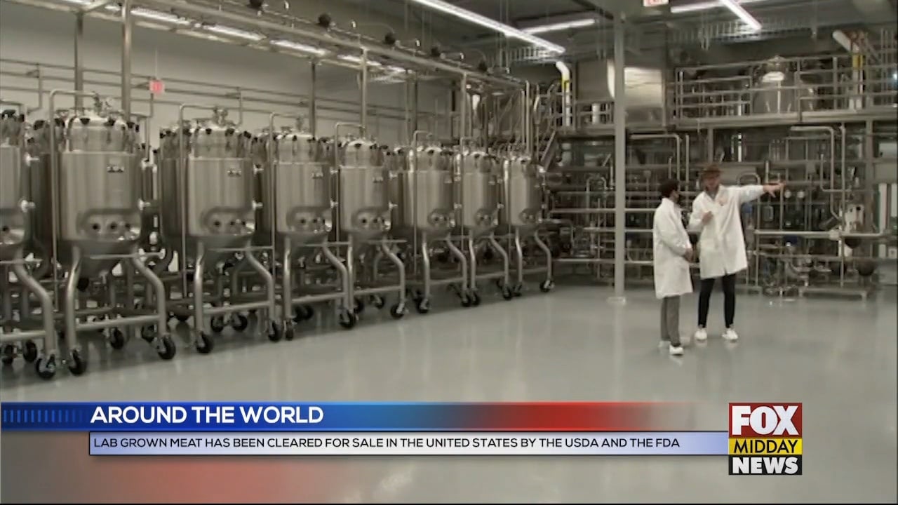 Lab-Grown Meat Cleared For Sale In The U.S. - WFXB