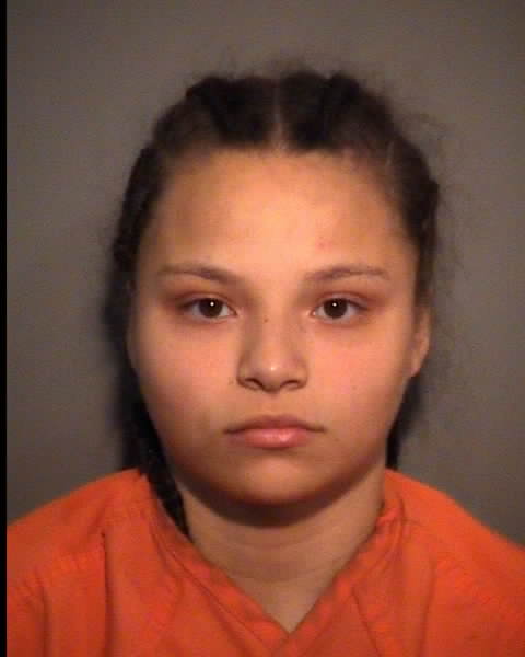 SAMPSON, KYLA CHARITY- Weapons - Carrying Concealed or Unconcealed ...