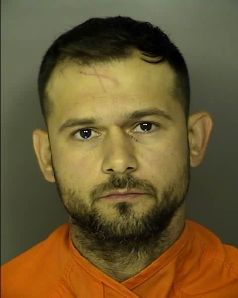 PALJUSAJ, FRANK ANTHONY - DRIVING UNDER THE INFLUENCE - WFXB