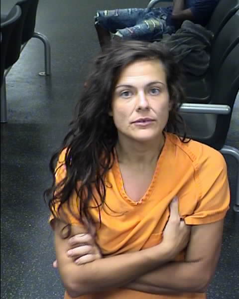 KATOSH, KIMBERLY ROSE - PUBLIC DISORDERLY:PUBLIC INTOXICATION - GIVING ...