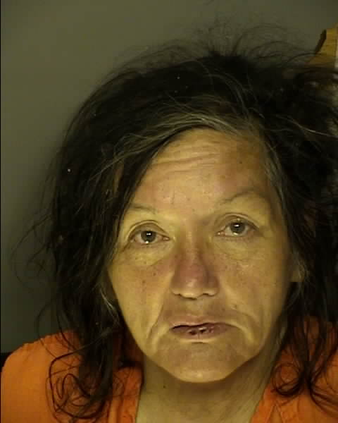 LEE, JANE - PUBLIC DISORDERLY:PUBLIC INTOXICATION - WFXB